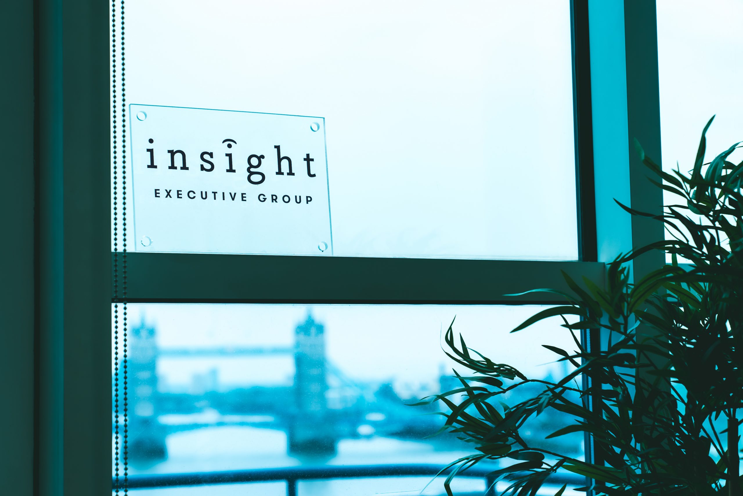 About Insight Executive Group Search and Recruitment